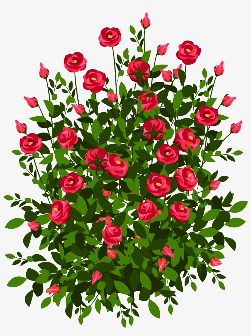 How To Draw A Rose Bush Step By Step 0 01 Drawing Preview 0 06 How To Draw A Rose Bush Step By Step 0 01 Drawing Preview 0 06