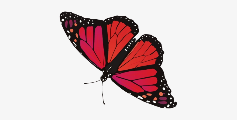 Butterfly Png Image - Red Butterfly Transparent Background - 407x337 ...