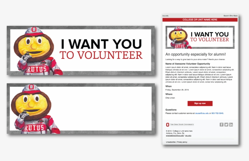 Email Header - Ohio Buckeye - 800x450 PNG Download - PNGkit