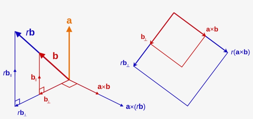 Cross Product Scalar Multiplication - Visualization Of A Cross Product ...