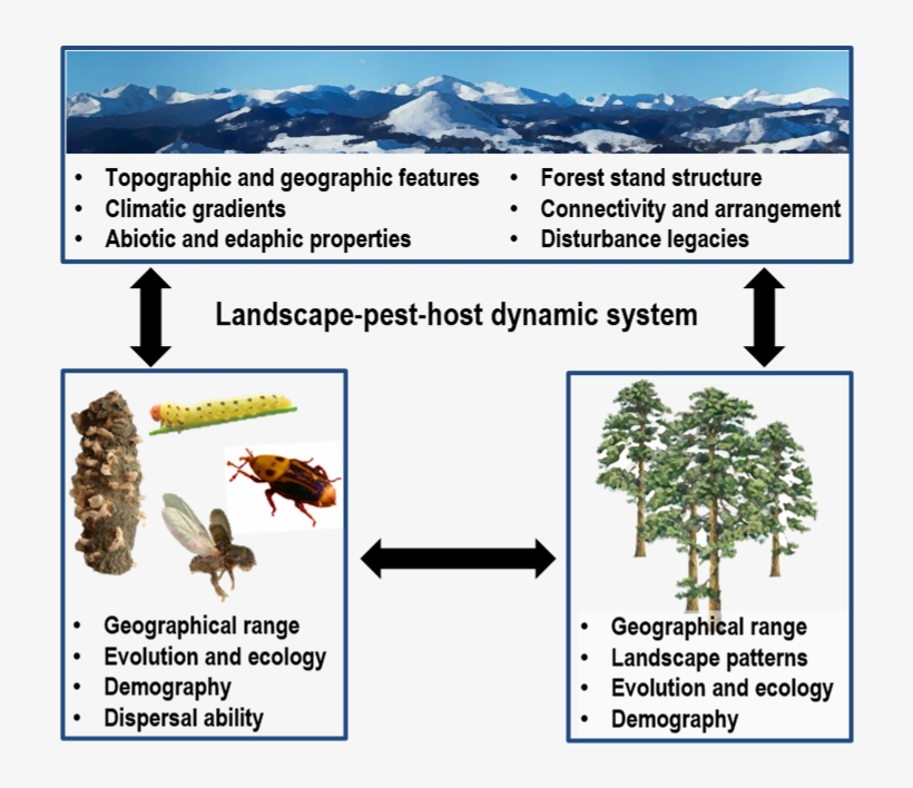 Conceptual Diagram Of The Interactions Among Landscape - Science ...