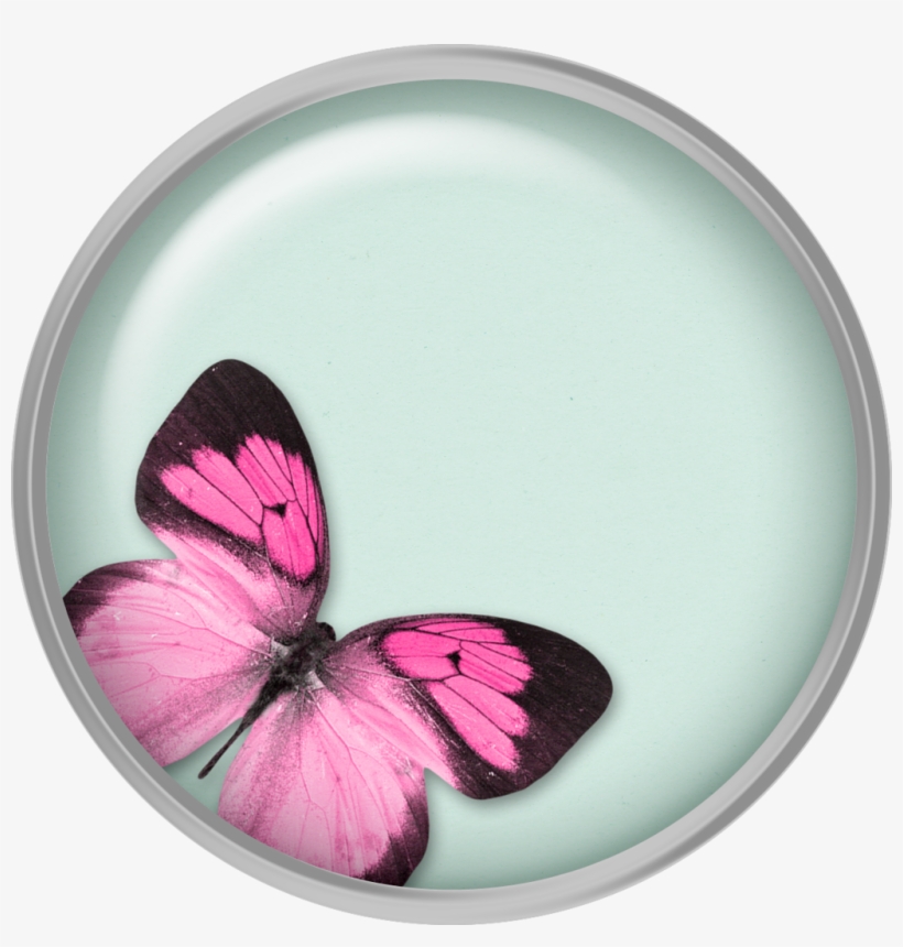 B * *dragonfly Dance - Real Butterfly Paperweight (3" X 3" X 1 ...
