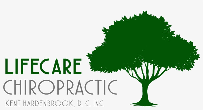 Lifecare Chiropractic - Tree - 1090x562 PNG Download - PNGkit