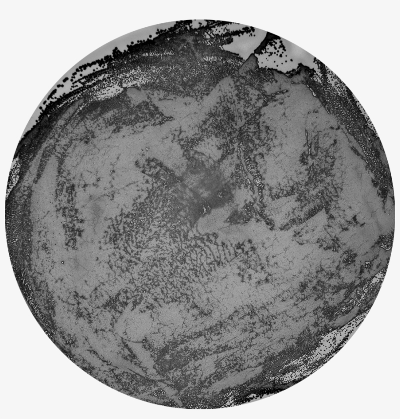 I Believe The Color Pixel Counter By Ben Pichette Is - Circle - 900x900 ...