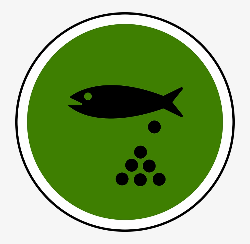 Fish, Pond, Water, Spawning, Nature, Fishing, Koi, - Pond Fish Logo ...