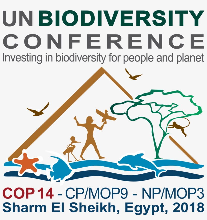 Cop14 Statement On Freshwater Biodiversity Alliance - 2500x2501 PNG Download - PNGkit