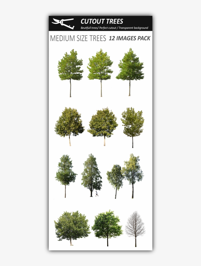 12 Medium Size Trees Pack - Architecture - 486x1024 PNG Download - PNGkit