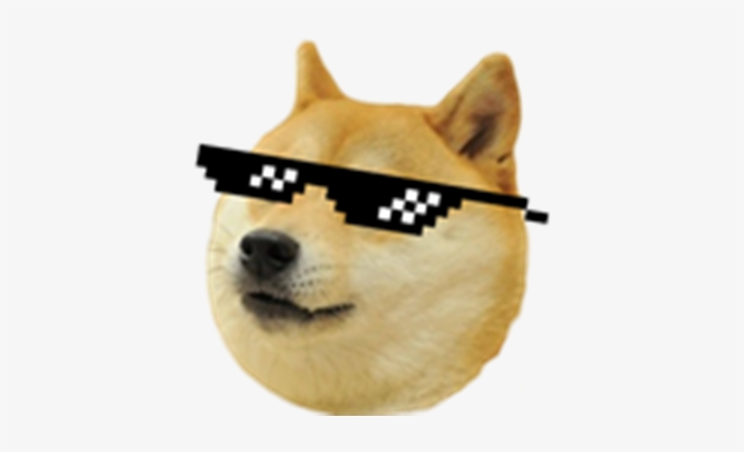 Mlg Cat Transparent - 420x420 PNG Download - PNGkit