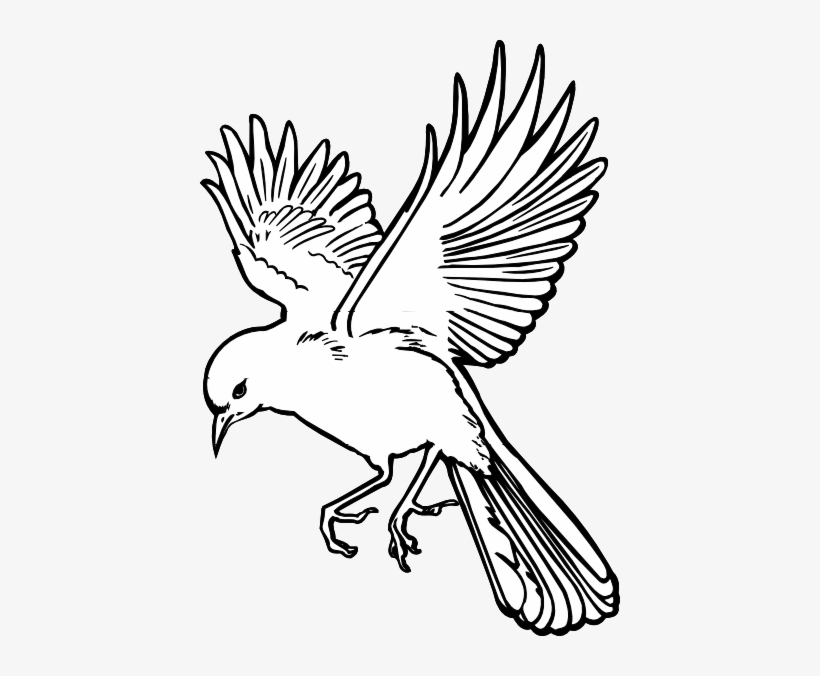 Flying Bird Drawing - Flying Bird Drawing Art - 420x596 PNG Download ...
