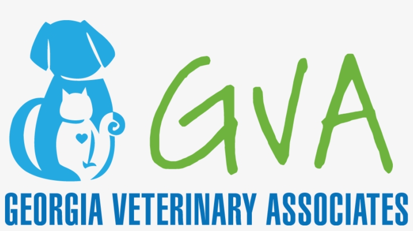 Home - Georgia Veterinary Associates - 906x463 PNG Download - PNGkit