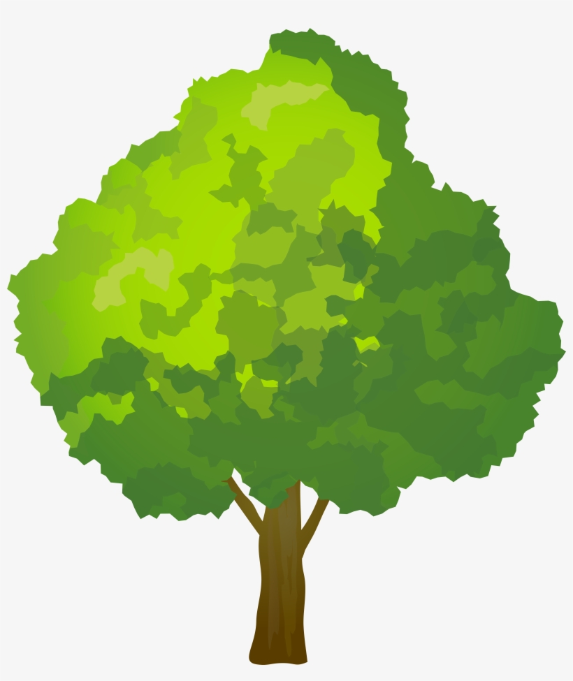Tree Graphic Png - 7056x8000 PNG Download - PNGkit