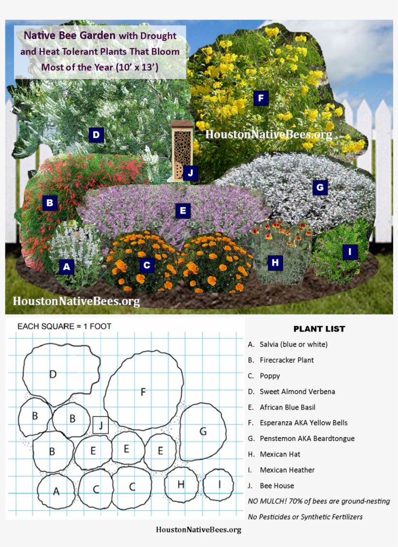 Native Plant Pollinator Garden Design At Emma Bushell Blog