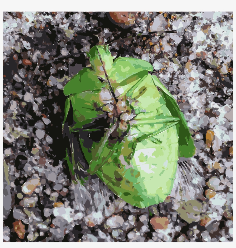 This Free Icons Png Design Of Green Belly Bug - 2400x2400 PNG Download ...