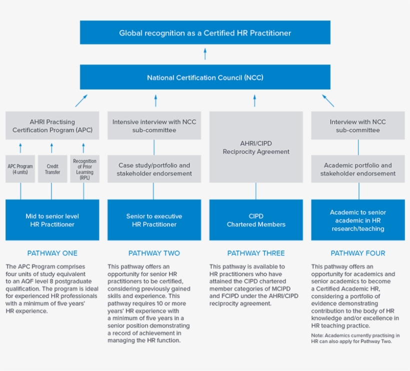Pathways Diagram - Diagram - 846x690 PNG Download - PNGkit