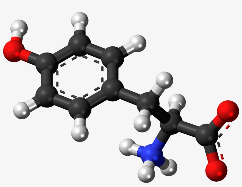 L Tyrosine Zwitterion 3d Balls - Amine Compounds (chemical Compounds ...