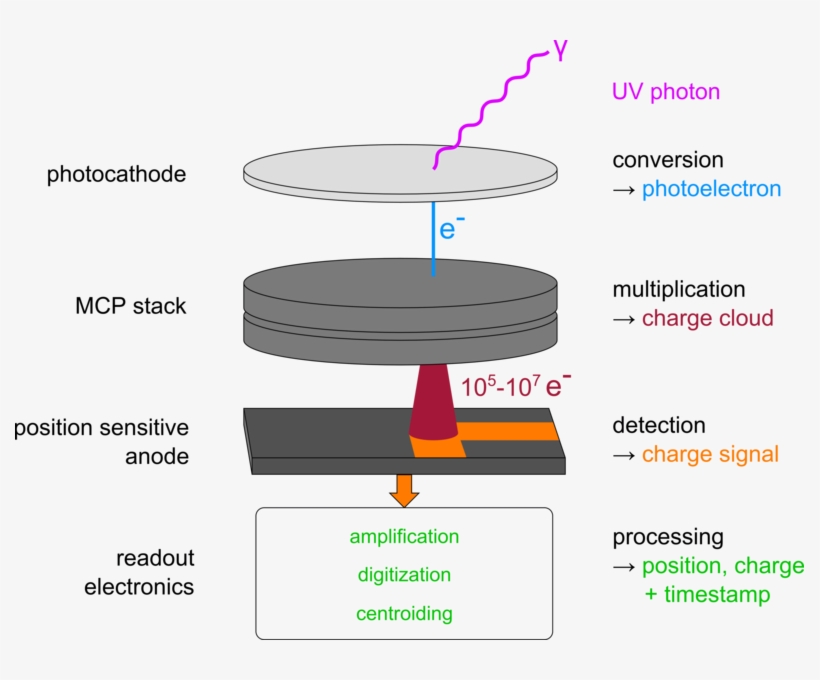 Development Of Uv Mcp Detectors For Future Space Missions - Diagram ...