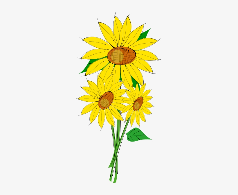 Download Transparent Sunflower Border Design - Clip Art Sunflowers - PNGkit