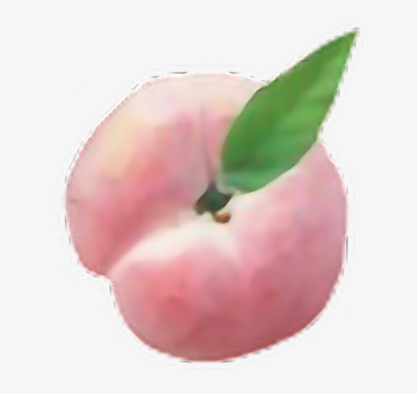 Banner Free Download Huge Freebie For - Clip Art - 608x696 PNG Download ...