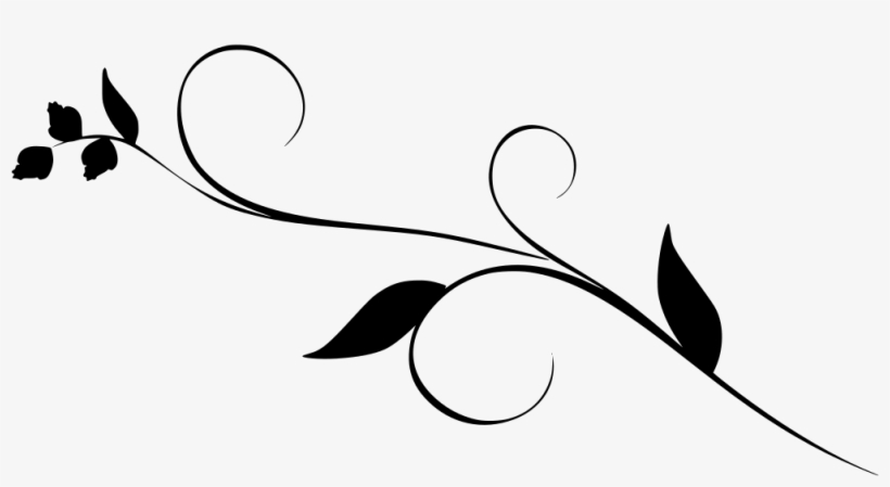 Download Png - Decorative Curves - 1024x510 PNG Download - PNGkit