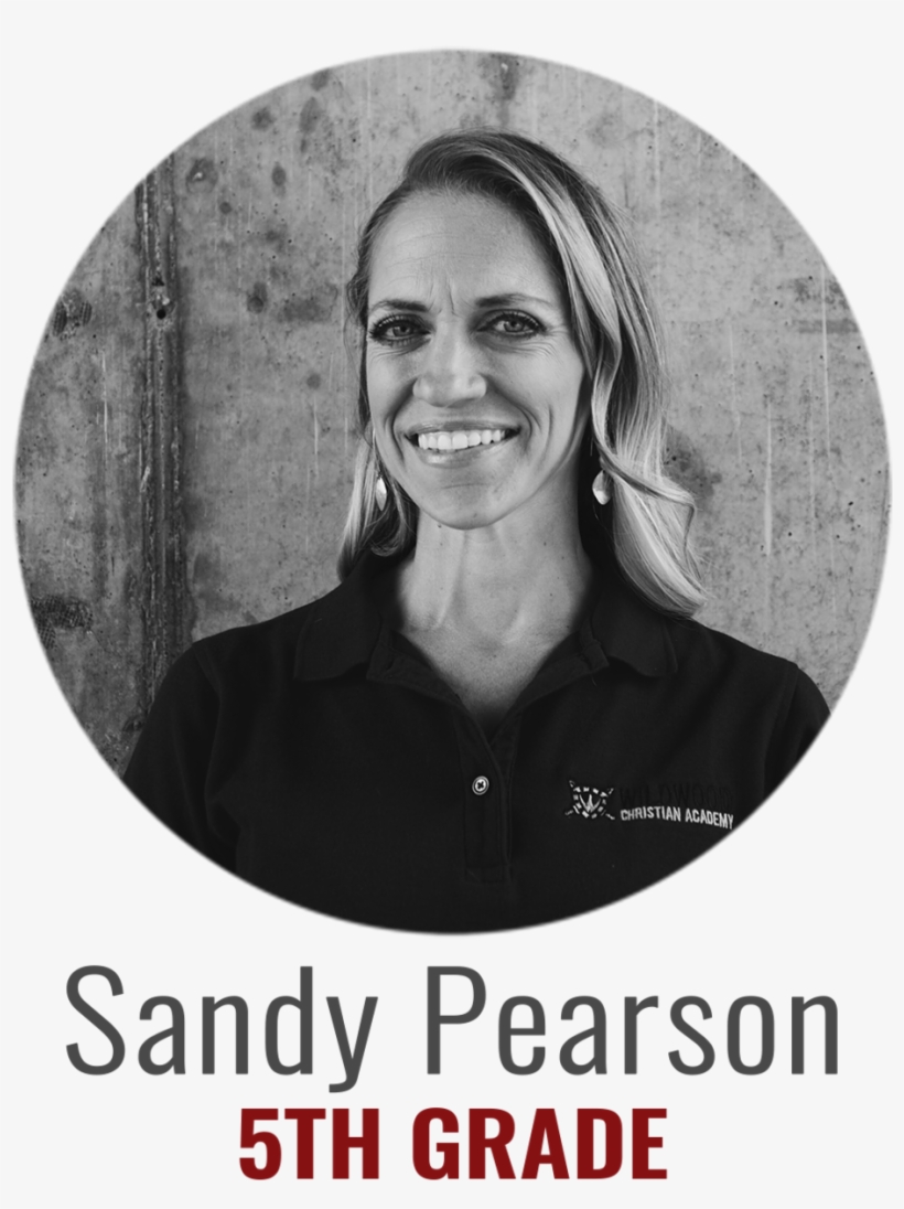 Wca Staff Sandy - Portable Network Graphics - 1000x1258 PNG Download ...