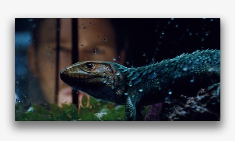 Download Transparent Jurassic World Nods To Feathered Dinosaurs ...