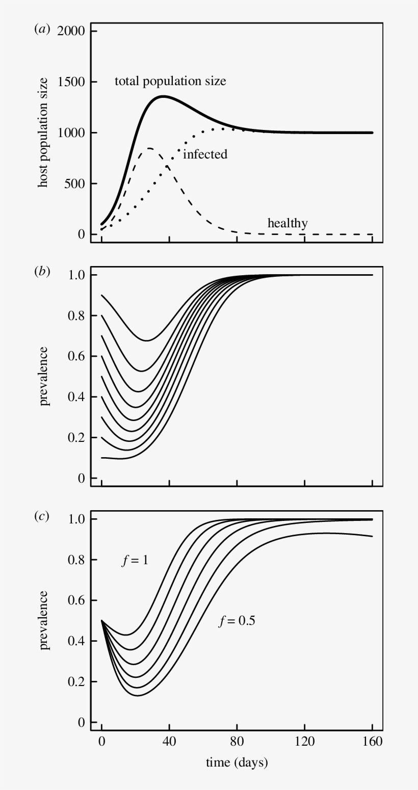 Dynamics Of Host And Parasite In The Epidemiological - Diagram - 685x1470 PNG Download - PNGkit