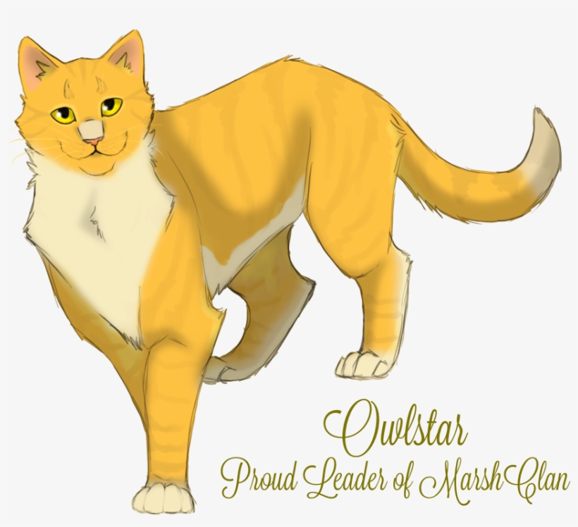 Sunstar By Lithestep-d3kg333qup - Design - 900x799 PNG Download - PNGkit