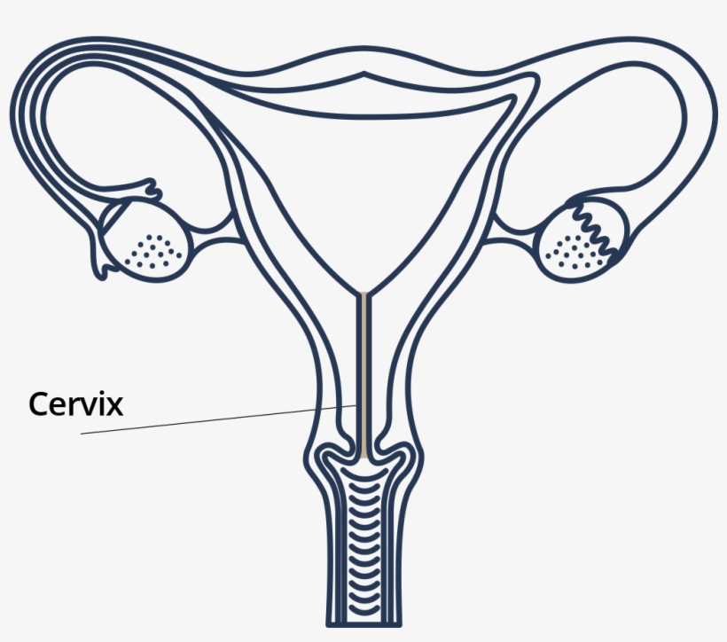 Incorrect - Drawing - 1272x1132 PNG Download - PNGkit