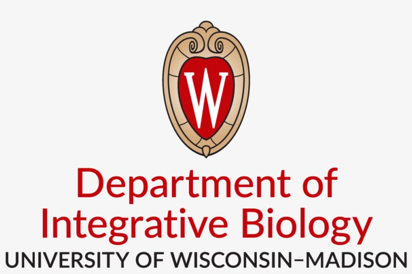 4-color Centered Logo - University Of Wisconsin-madison - 1201x751 PNG ...