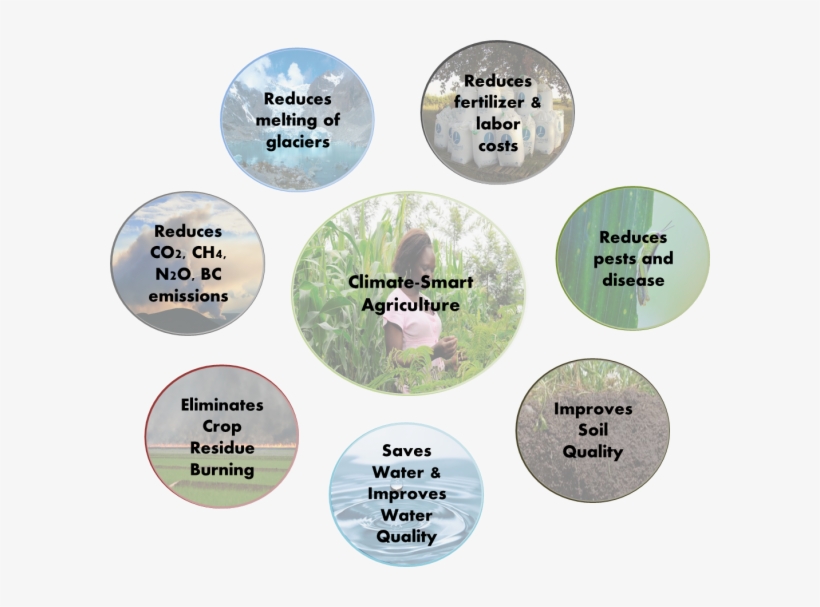 Climate-smart Agriculture - Agriculture - 600x527 PNG Download - PNGkit