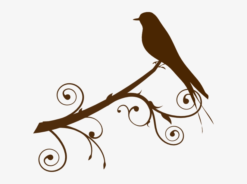 Bird Branch Png