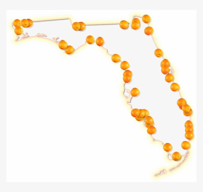 Png Florida Banner Transparent Stock - 768x692 PNG Download - PNGkit