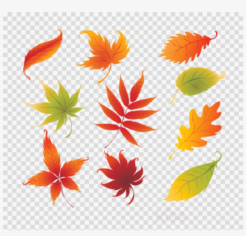 Download Transparent Colorful Leaves Clipart Stock Photography ...