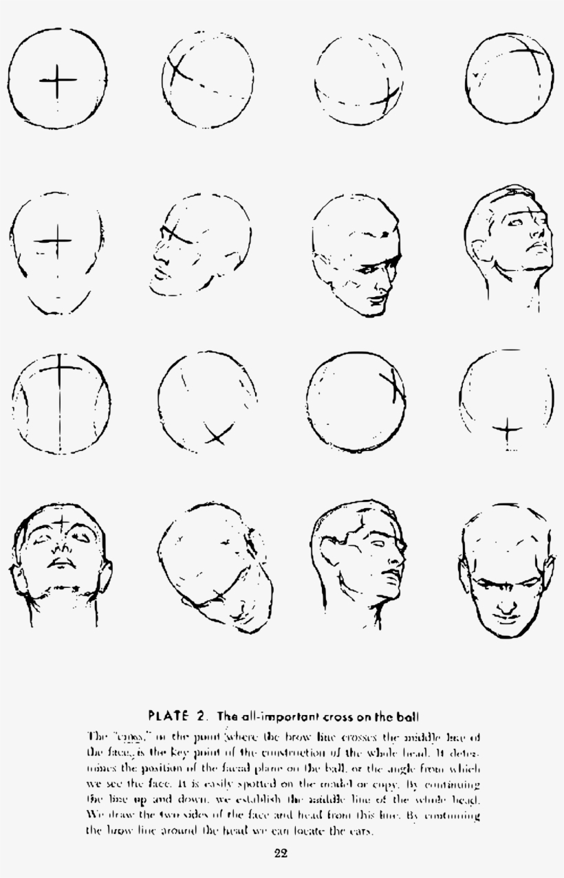 This Free Icons Png Design Of Andrew Loomis Drawing - 1518x2291 PNG ...