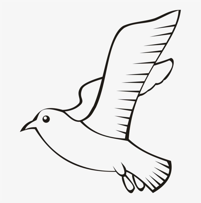 Feather Bird Beak Wing Flight - Outline Bird Png - 657x750 PNG Download ...