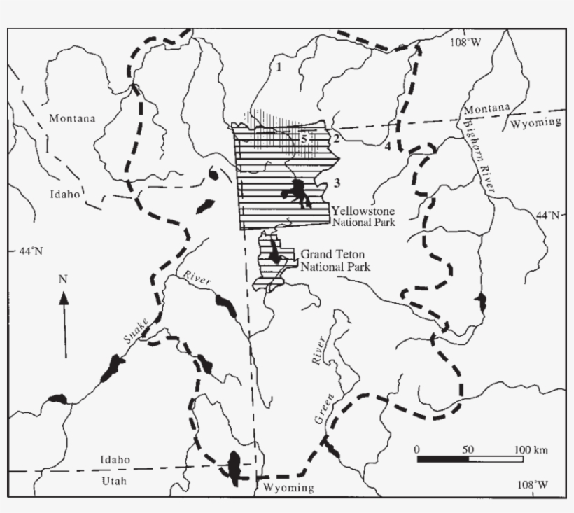 Greater Yellowstone Ecosystem , Showing Locations Of - Map - 850x719 ...