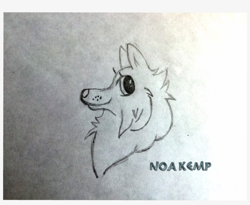 Mindful Drawing Wolf Picture Library Stock - Wolf - 4463x3263 PNG ...