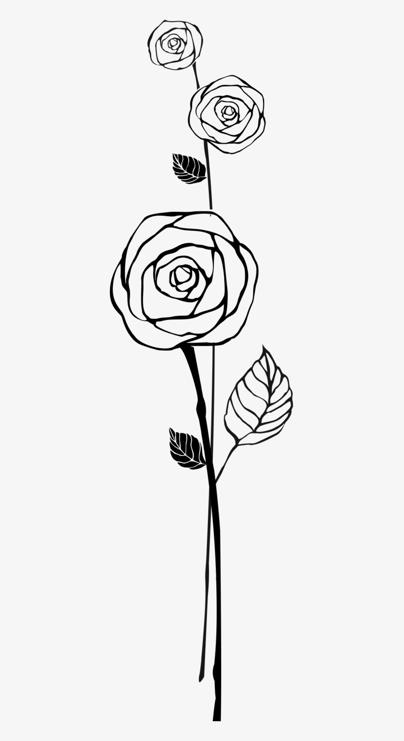 Roses Outline Flower Decal - Beach Rose - 374x1421 PNG Download - PNGkit