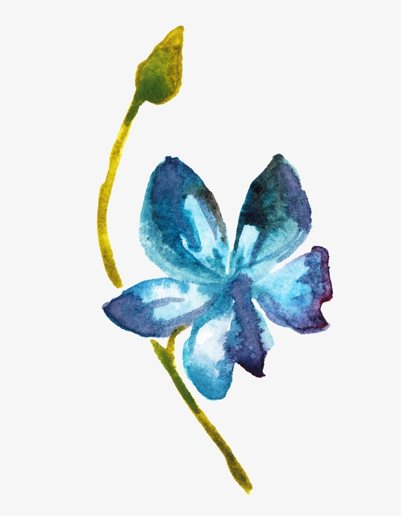 Floral Transparent Ornamental Material - Lily - 650x1047 PNG Download ...