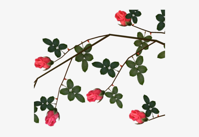 Png Thorns Svg Free - Clip Art - 540x484 PNG Download - PNGkit