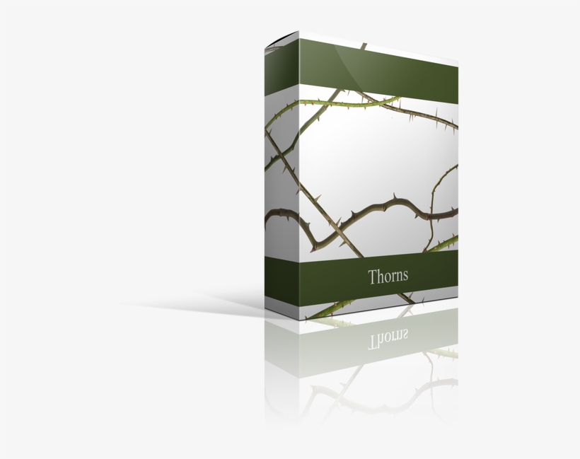 Thorn Overlays 21 Png Thorn Overlays - Lampshade - 672x800 PNG Download ...