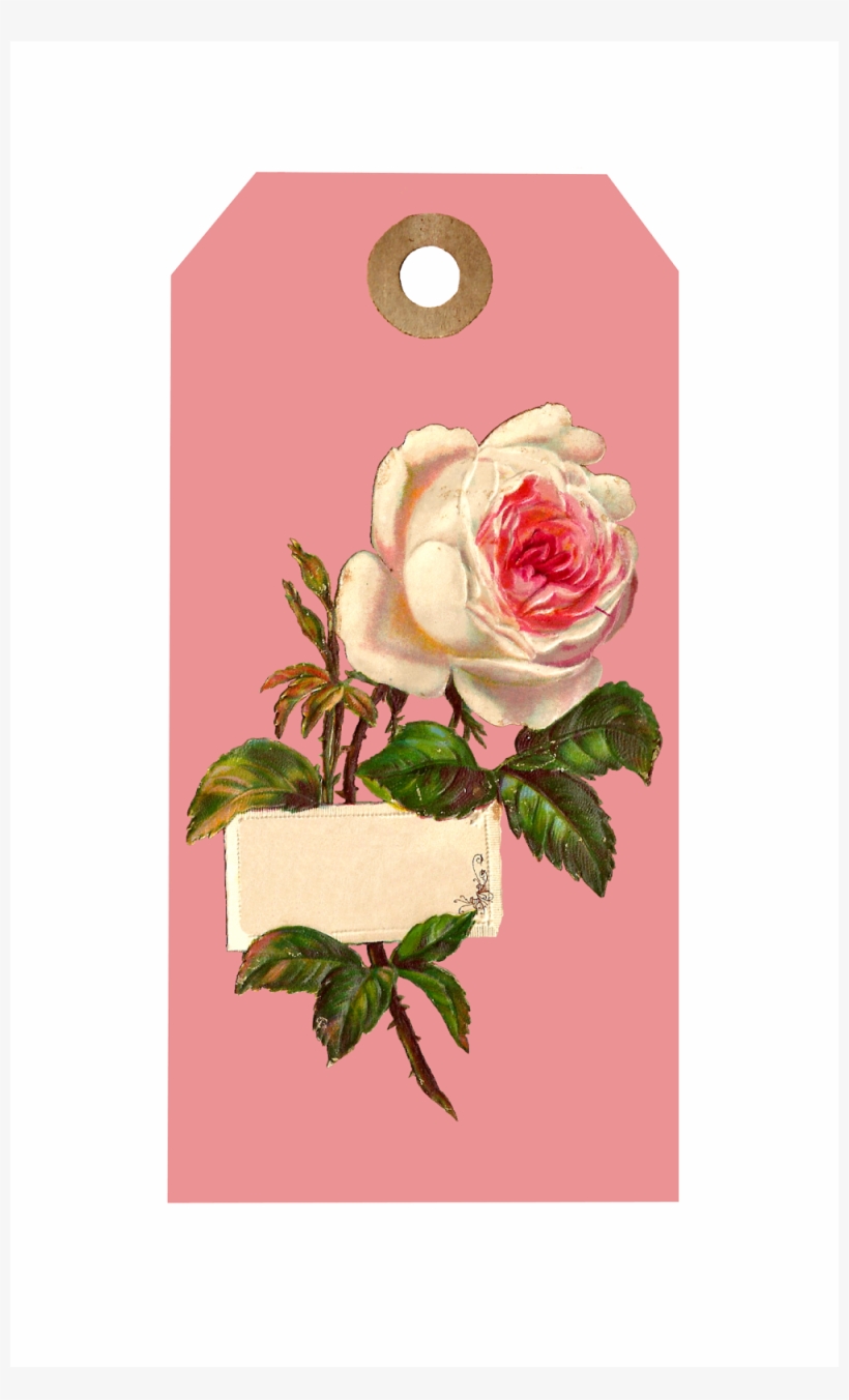 Download Transparent Printable Gift Tag - Rose - PNGkit