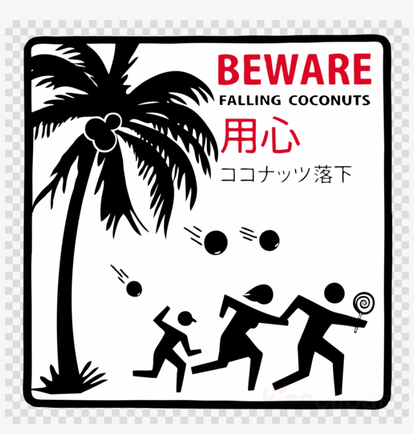 Beware Falling Coconuts Clipart Death By Coconut Tree - Beware Falling ...