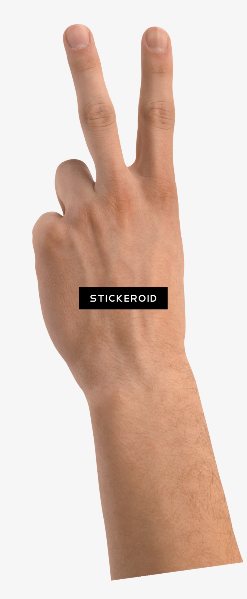 Hands Hand - Sign - 979x2320 PNG Download - PNGkit