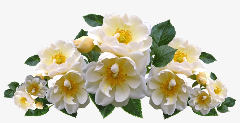 Roses, White, Flowers, Arrangement, Garden, Nature - Flower On Water ...