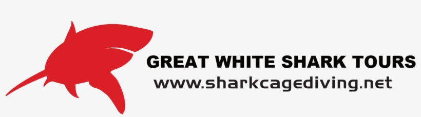 Gwst Logo Nuut - Logo - 1255x296 PNG Download - PNGkit