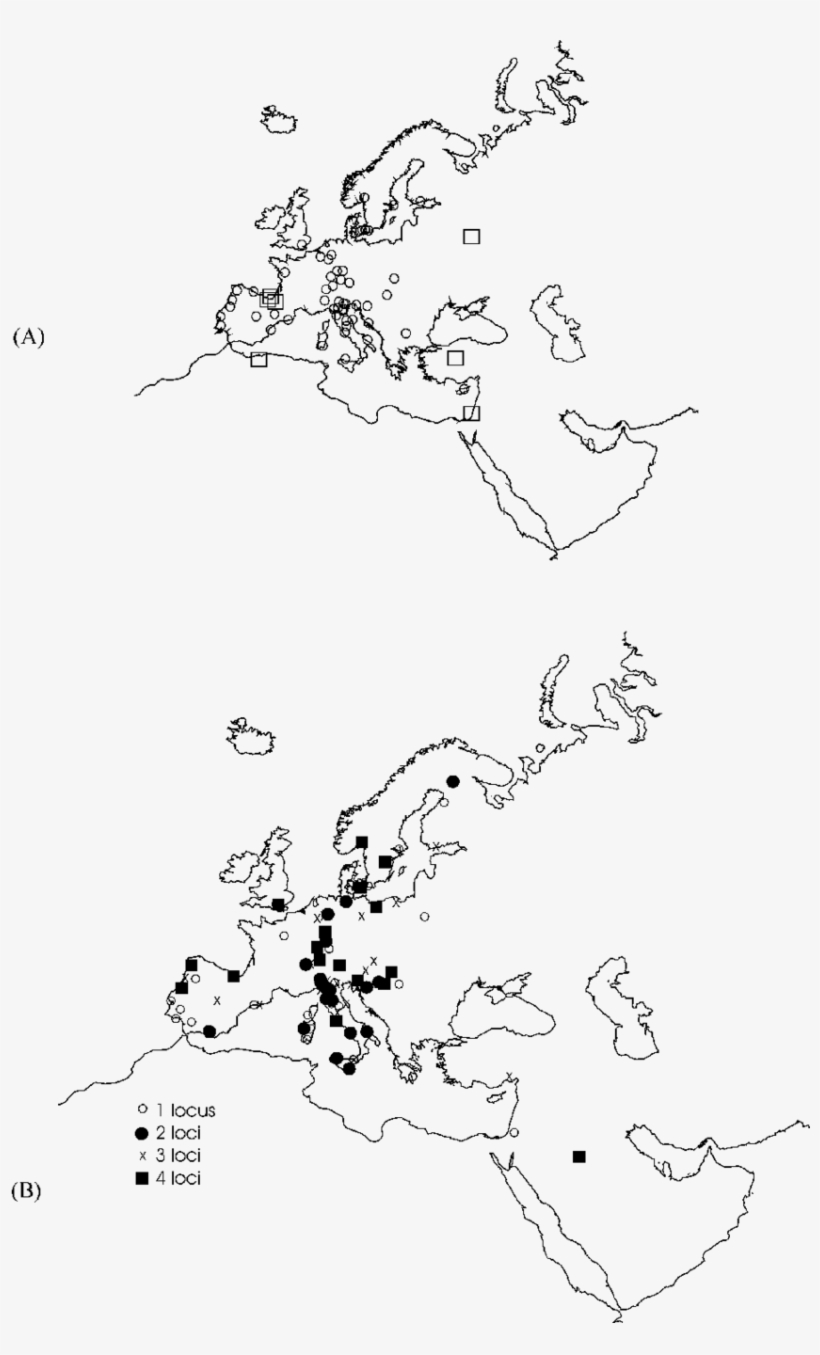 Population Drawing Continent Clip Freeuse Download - The Samples ...
