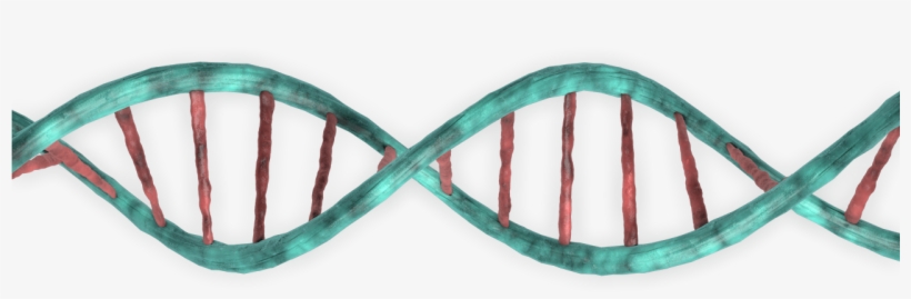 3d Dna Png - 1280x720 PNG Download - PNGkit