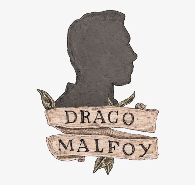Family Tree Of Draco Malfoy - 719x876 PNG Download - PNGkit