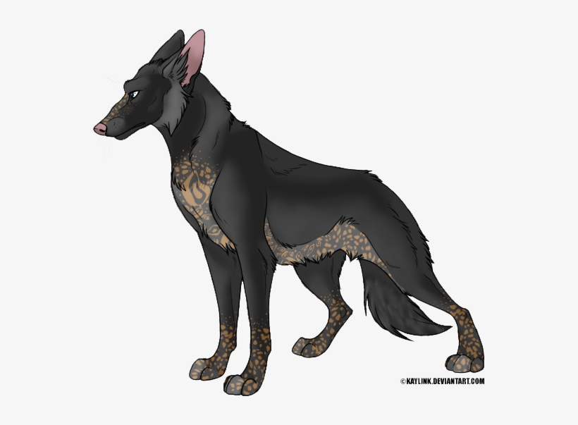 Drawn German Shepherd Deviantart - Dog - 631x562 PNG Download - PNGkit